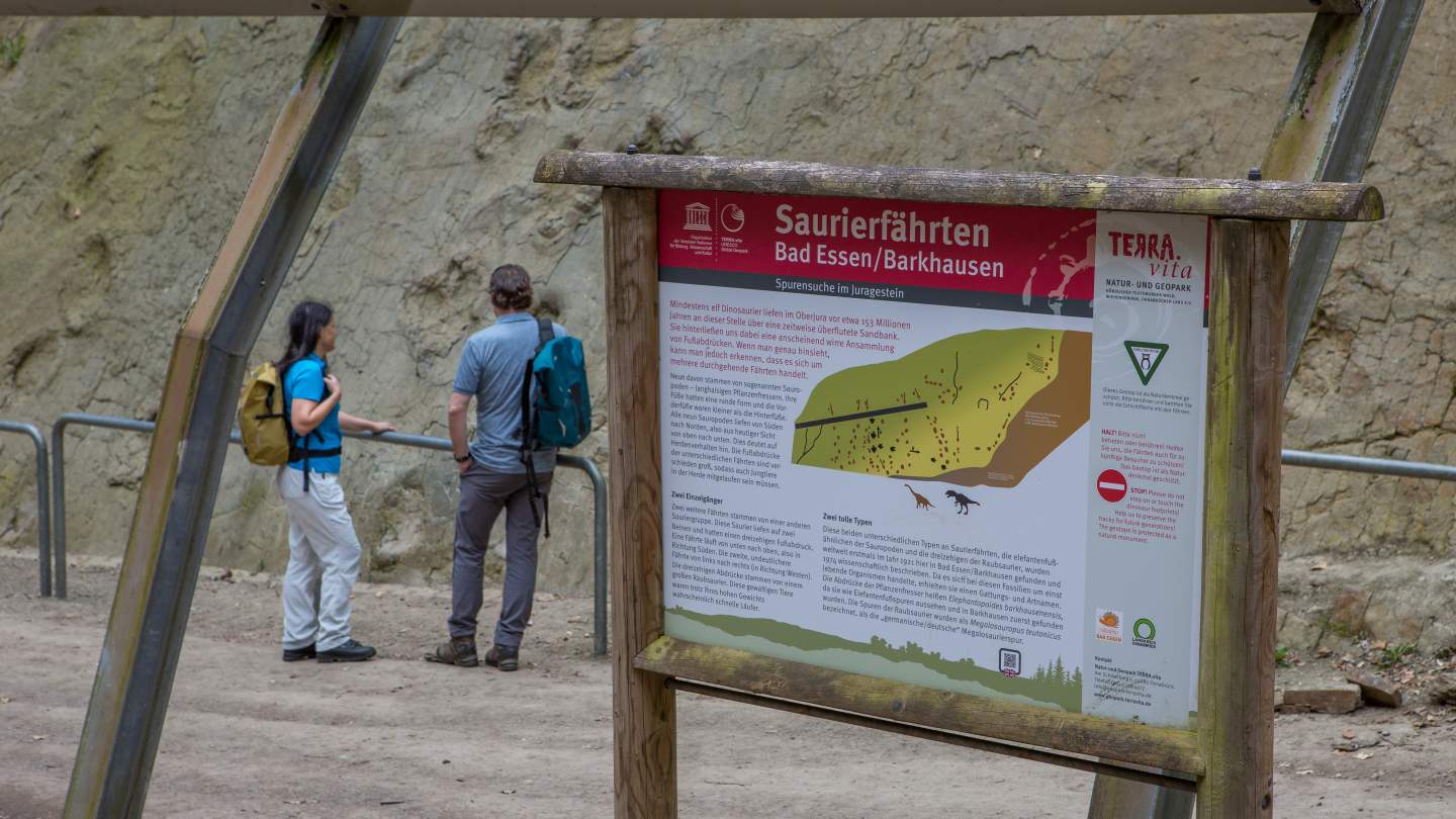 Wandern auf den Terra Tracks – Osnabrücker Land