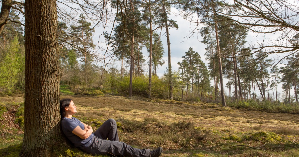 Wandern auf den Terra Tracks – Osnabrücker Land