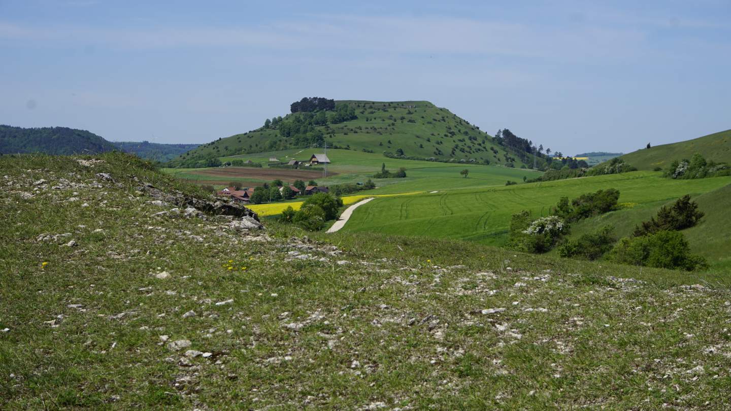 Geopark-Wanderung im Nördlinger Ries