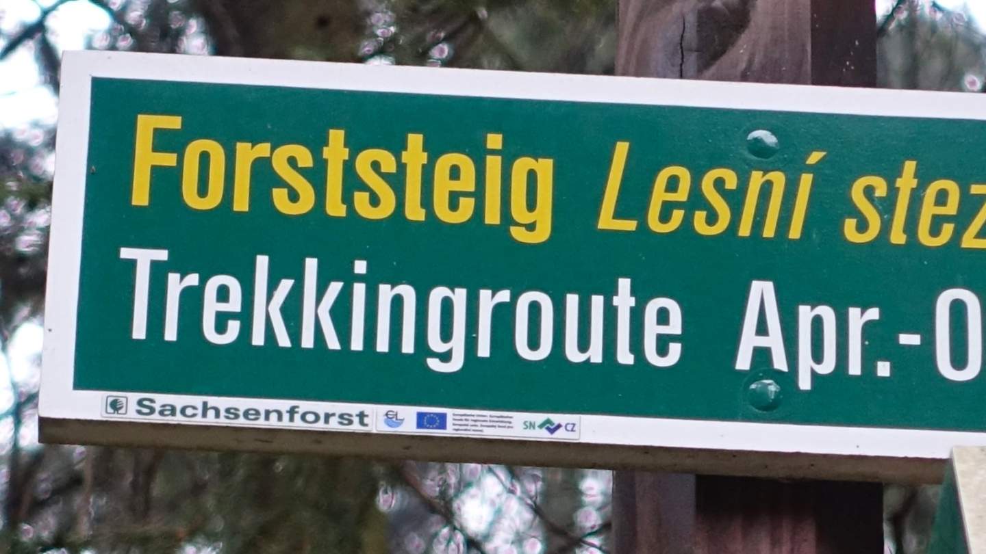 Wandern & Trekking auf dem Forststeig | Sächsisch-Böhmische Schweiz