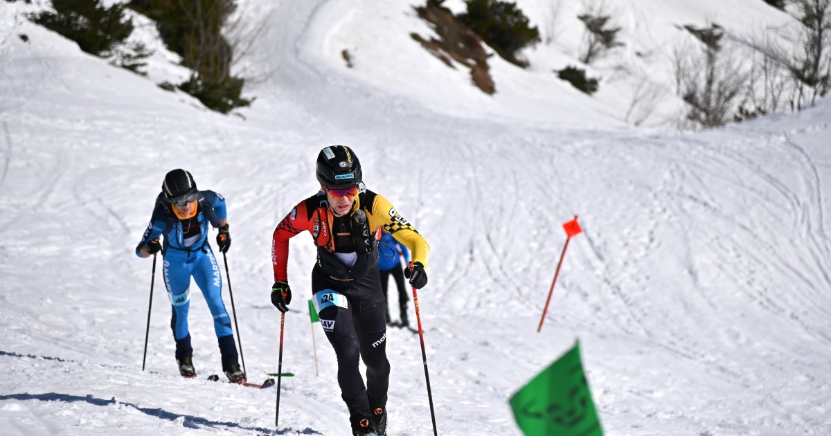 Angebote im Bereich Skibergsteigen
